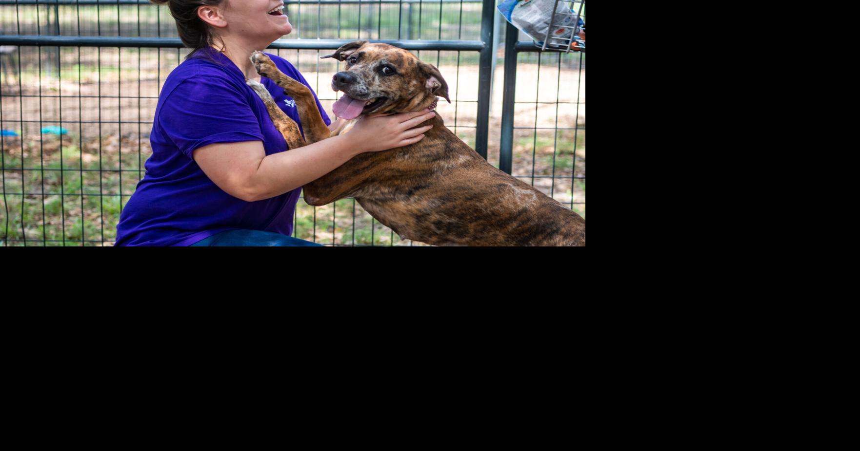 Area animal shelters host adoption, foster events this week to help ...