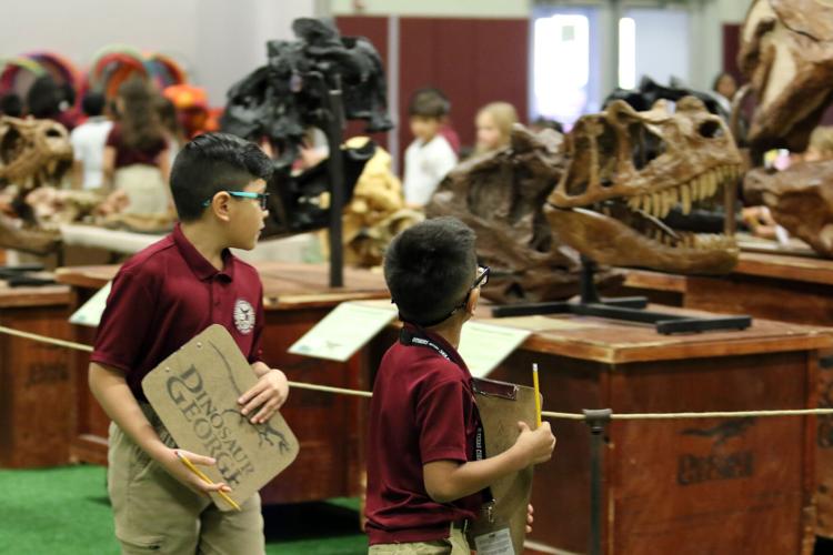 Mobile museum brings dinosaur bones to town