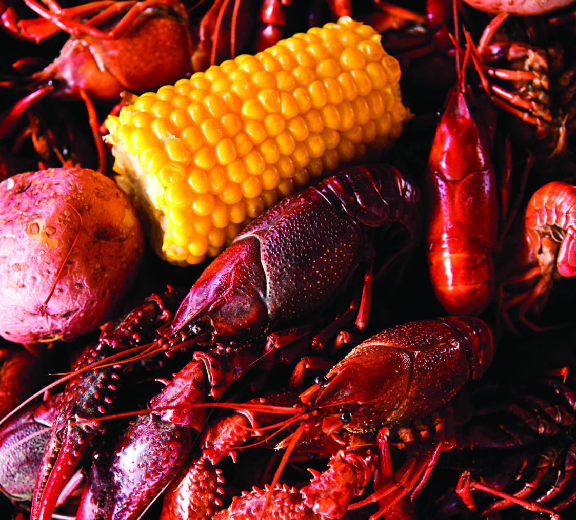Crazy for Crawfish