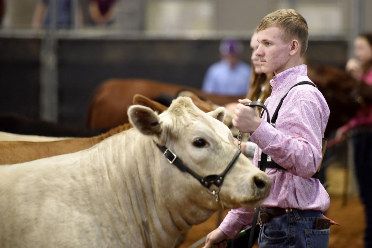 Brazos County Youth Livestock Show