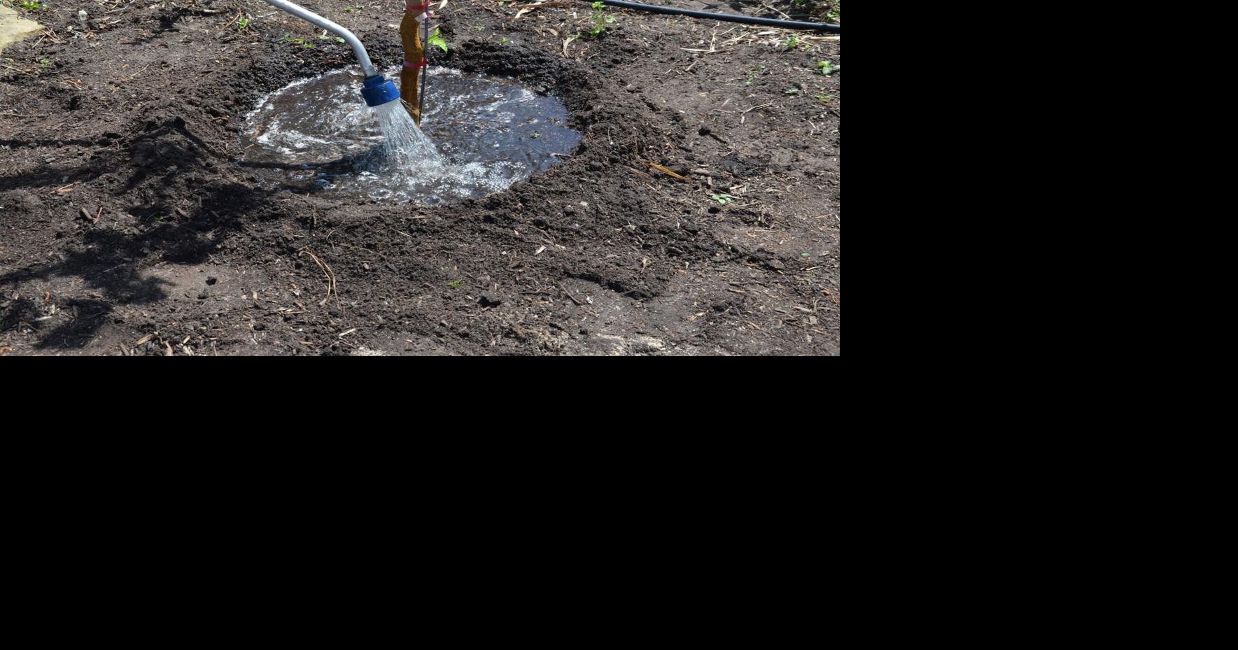 Skip Richter column: Maintenance in the morning is best