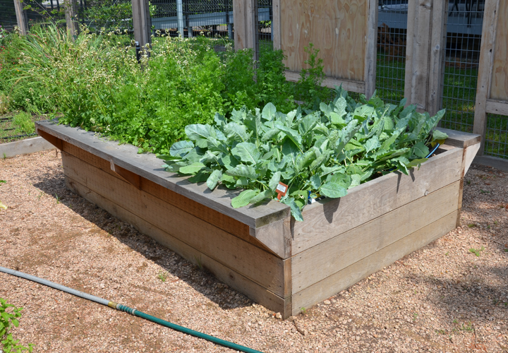 Skip Richter column: Gardener’s guide to a greener thumb in 2023