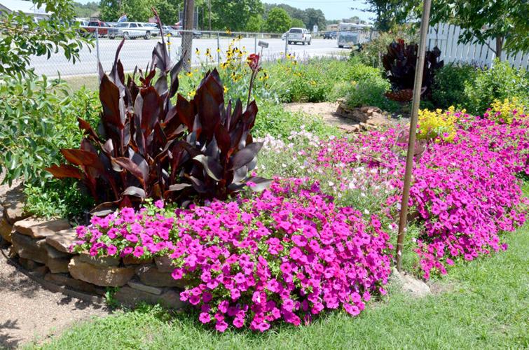 SKIP RICHTER: Timely tips for weekend gardening