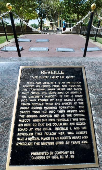 Reveille VII to be honored at more modest memorial service