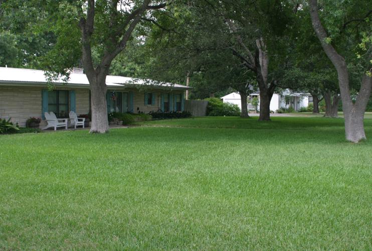 SKIP RICHTER: Tips for maintaining a healthy lawn