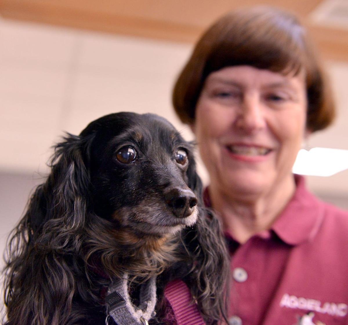 Aggieland Pets with a Purpose providing animal comfort and aid for ...