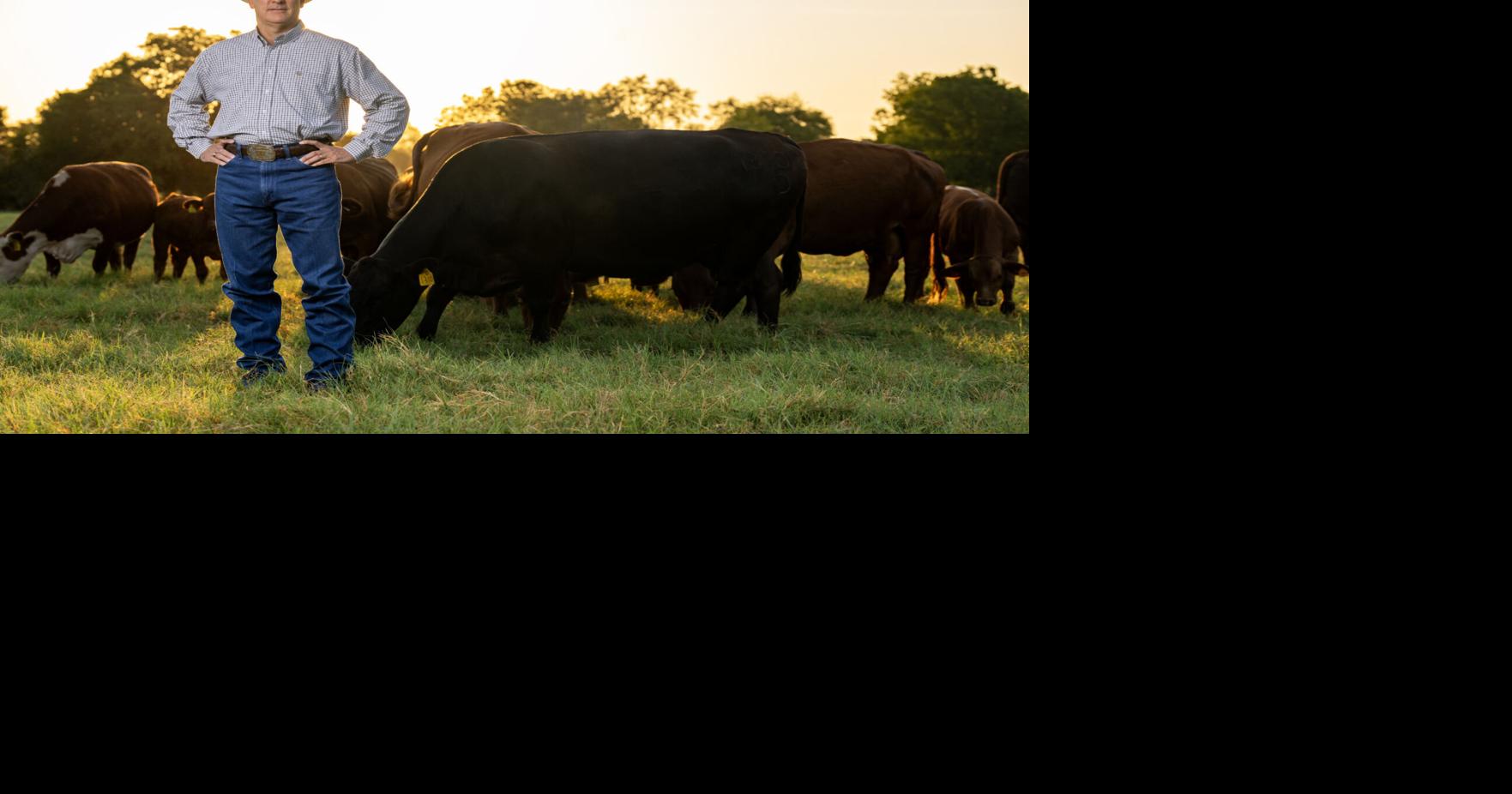 Texas A&M selects new Department of Animal Science head