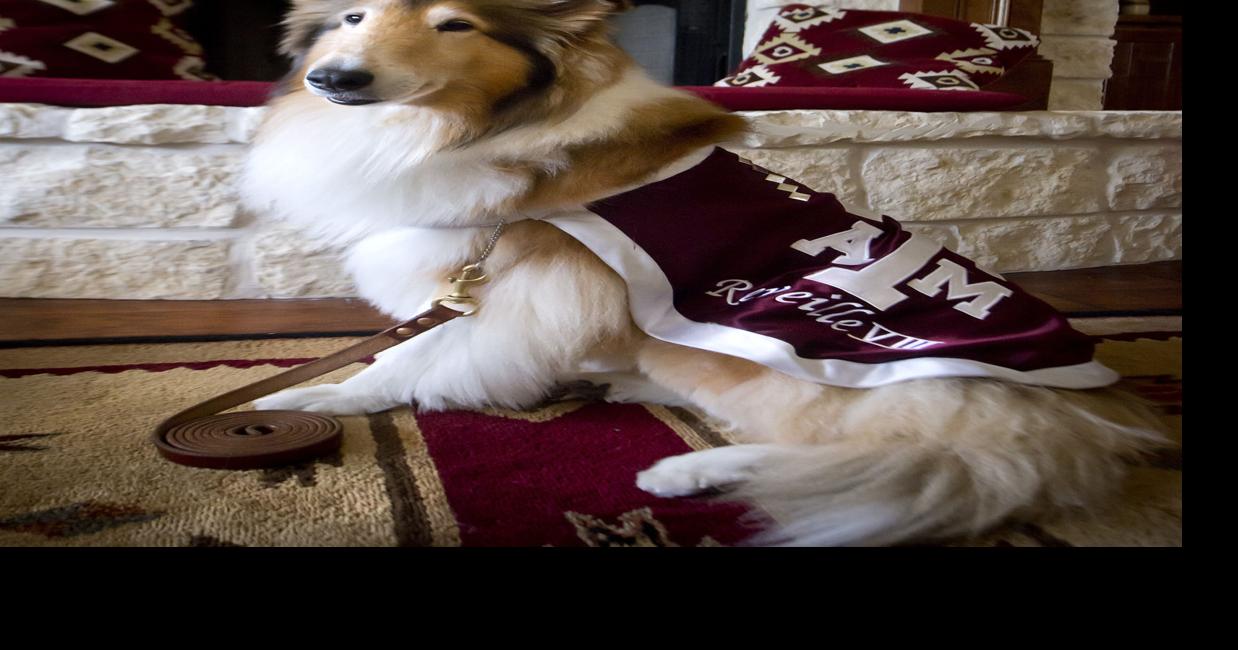 Reveille VIII through the years