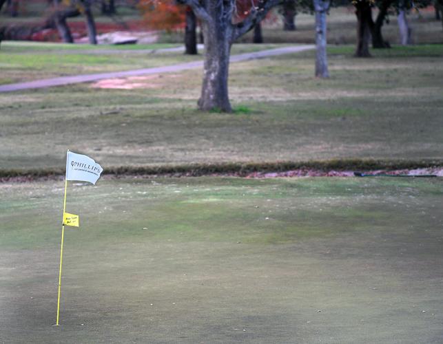 Bryan City Council votes 6-1 to accept Briarcrest Golf Course gift