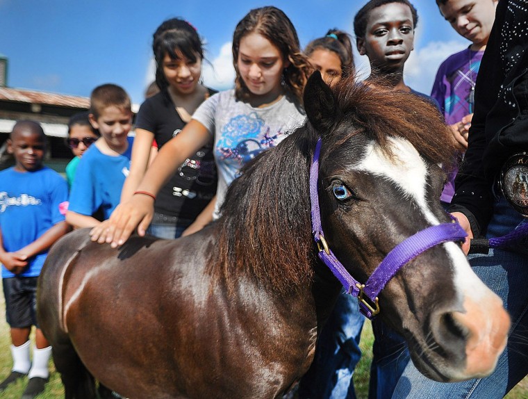 Gallop helps kids, horses