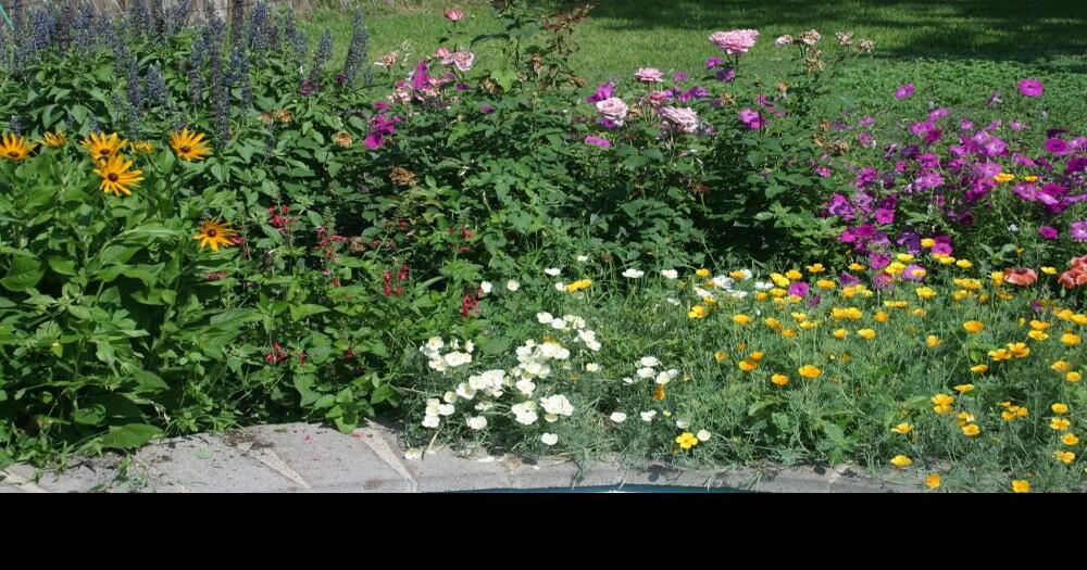 SKIP RICHTER: Tips for a successful perennial bed