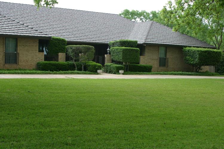 Skip Richter column: Low maintenance landscaping tips