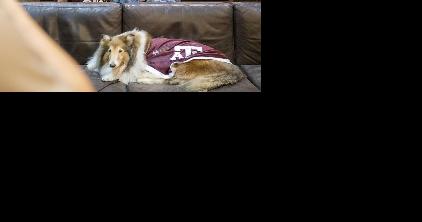 Gallery: Aggieland Saturday on campus