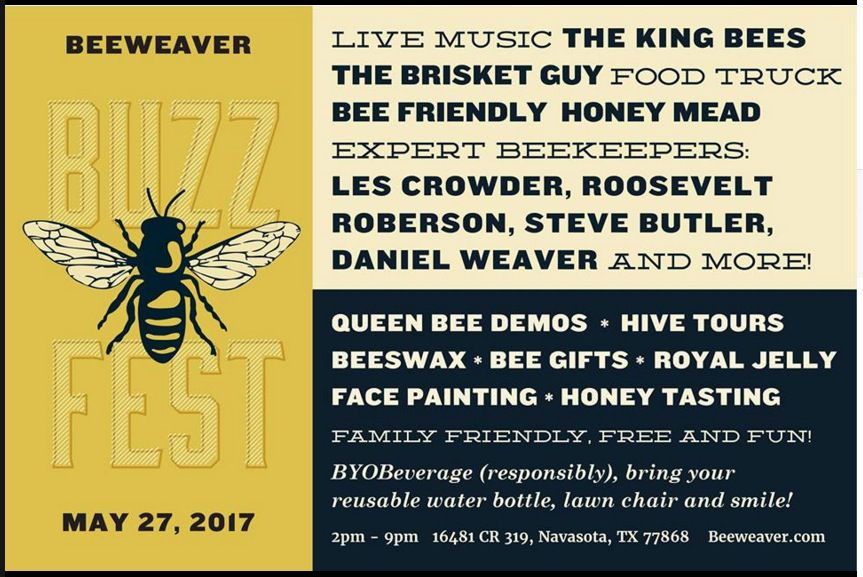 What's all the BUZZ about?