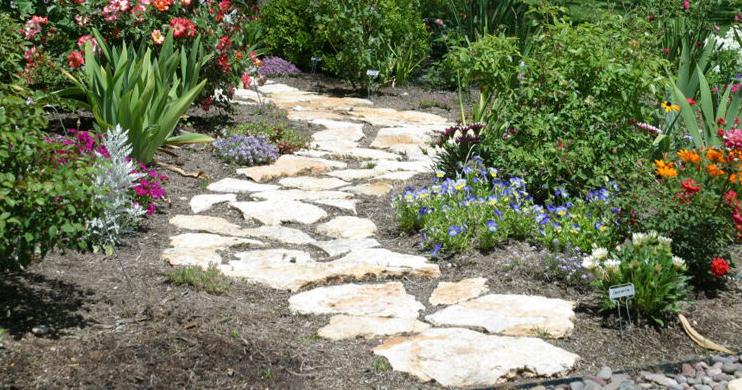 SKIP RICHTER: For landscaping success, plan before you plant