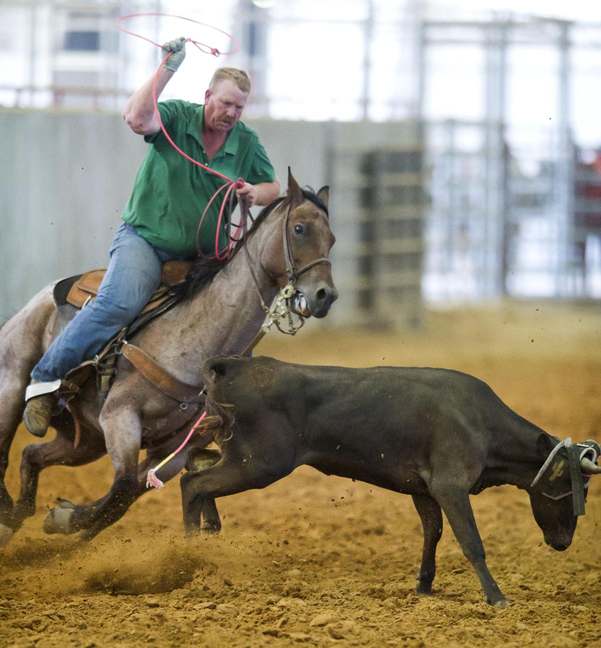 Team roping competition
