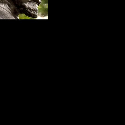 Texas A&M University police seeking information in connection to Sul ...