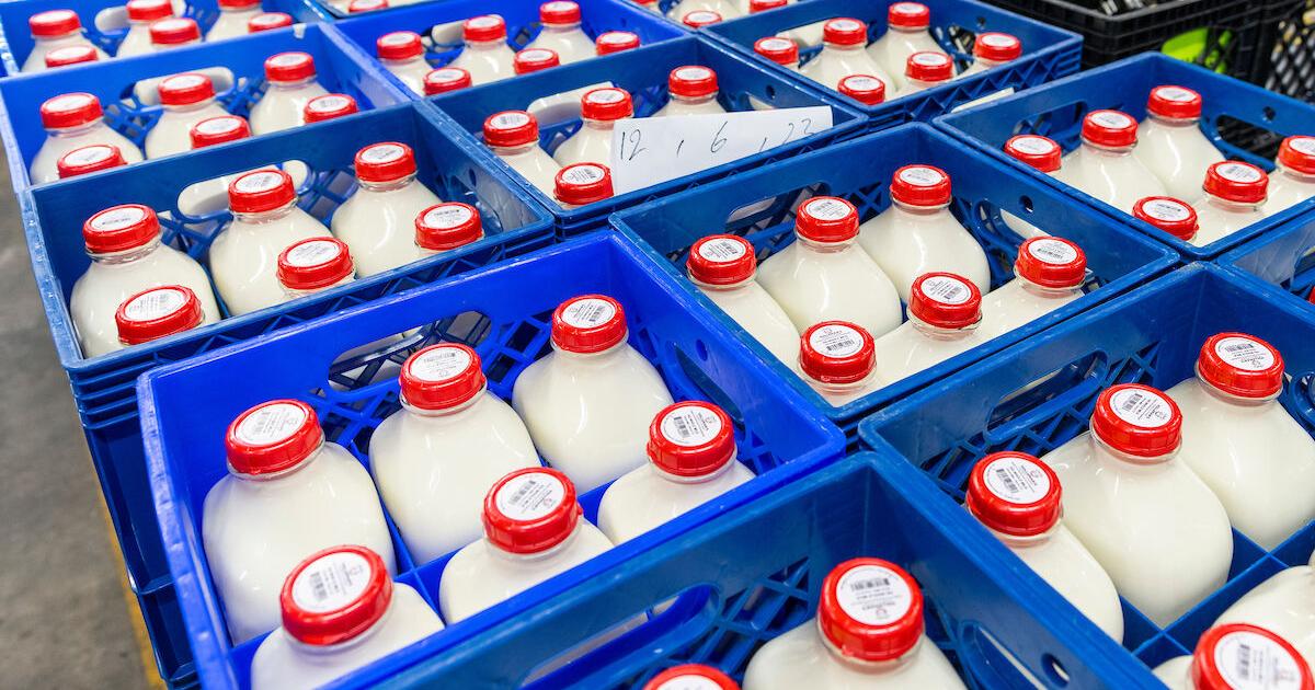 Texas dairy sees low milk prices as demand shifts to cheese
