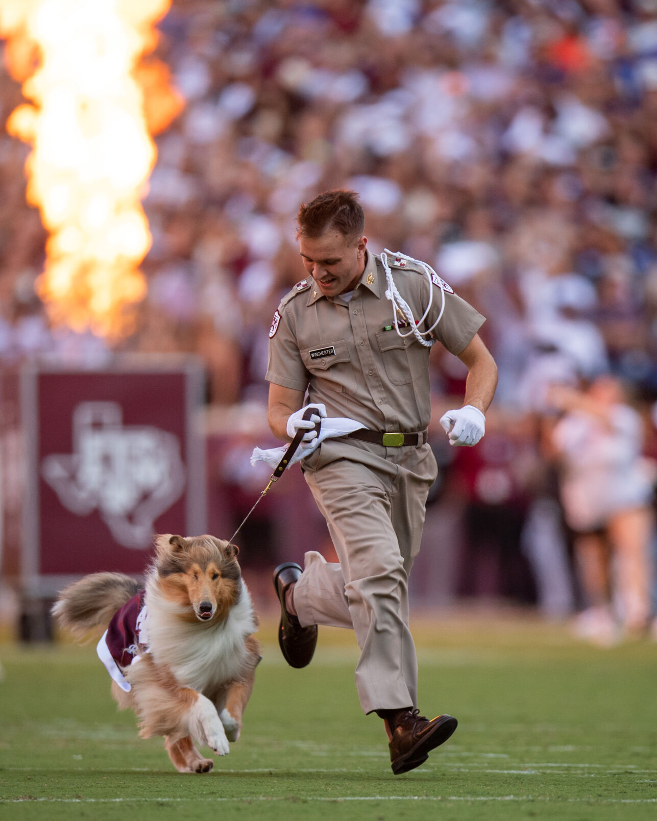 Mascot misfortunes befall Texas A&M
