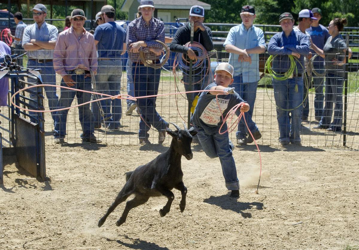 3rd Annual FFA Goat Roping | News | theeagle.com
