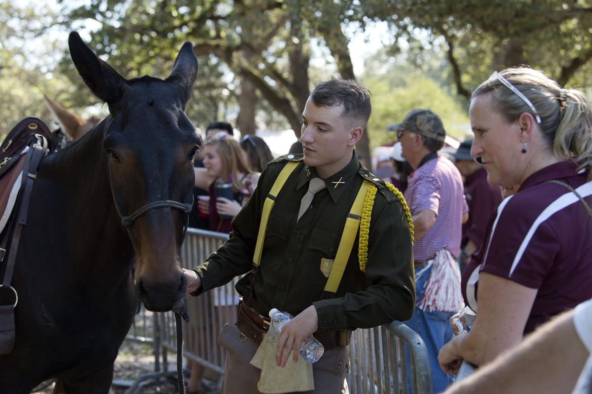 Parsons Mounted Cavalry keeps tradition alive with hard work, devotion