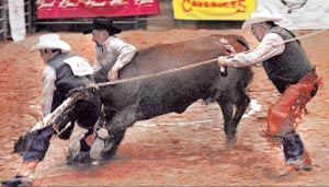 Sandhill Cattle Co. takes world championship
