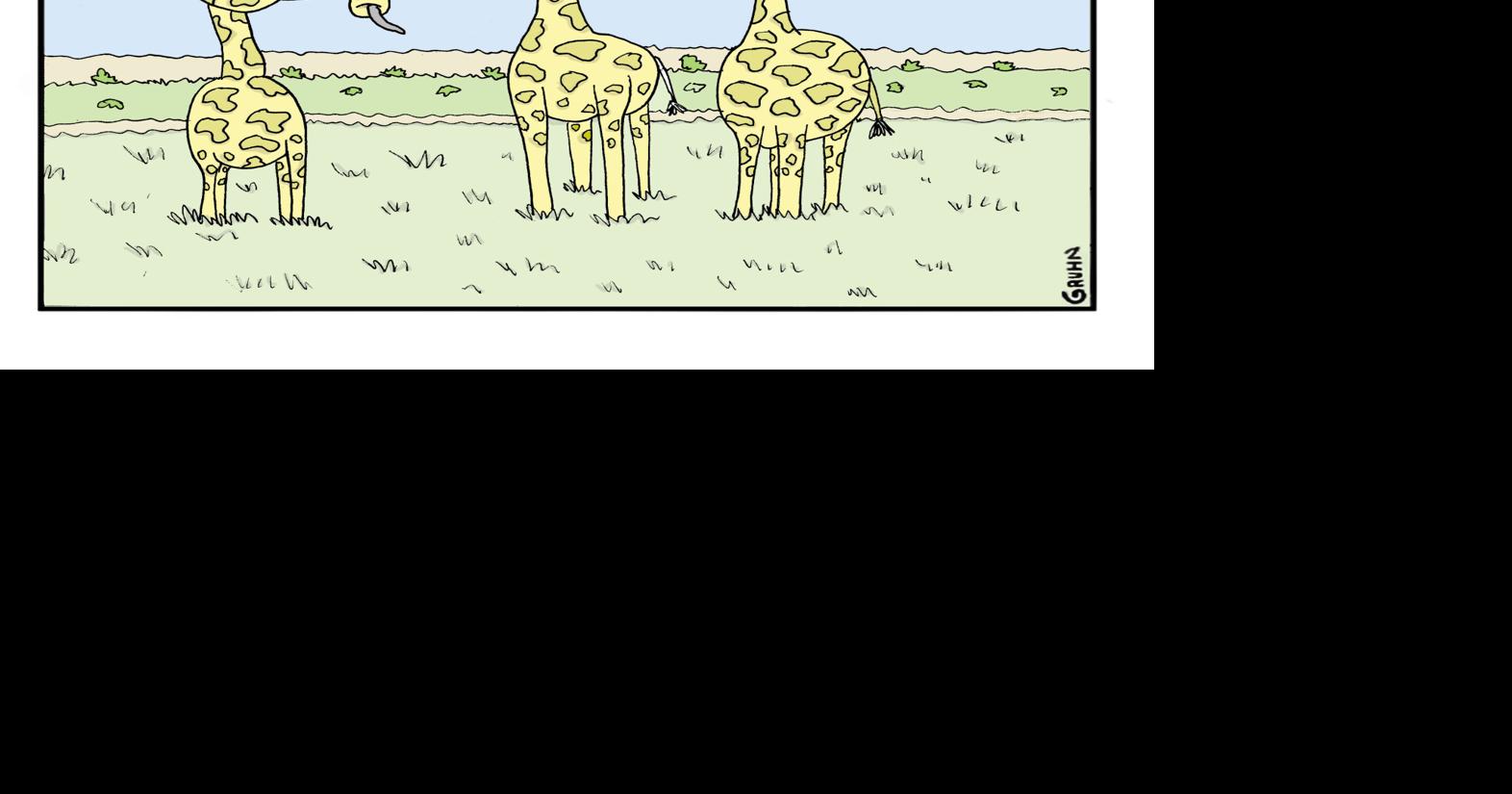 Webdonuts: Mike Gruhn cartoon