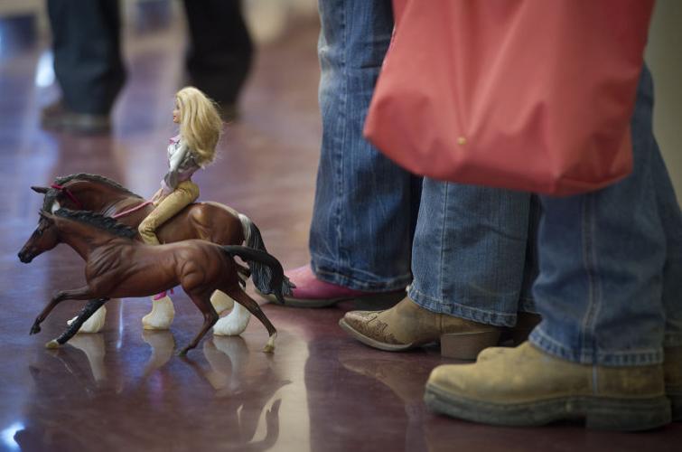 Texas A&M celebrates new vet center, equine complex