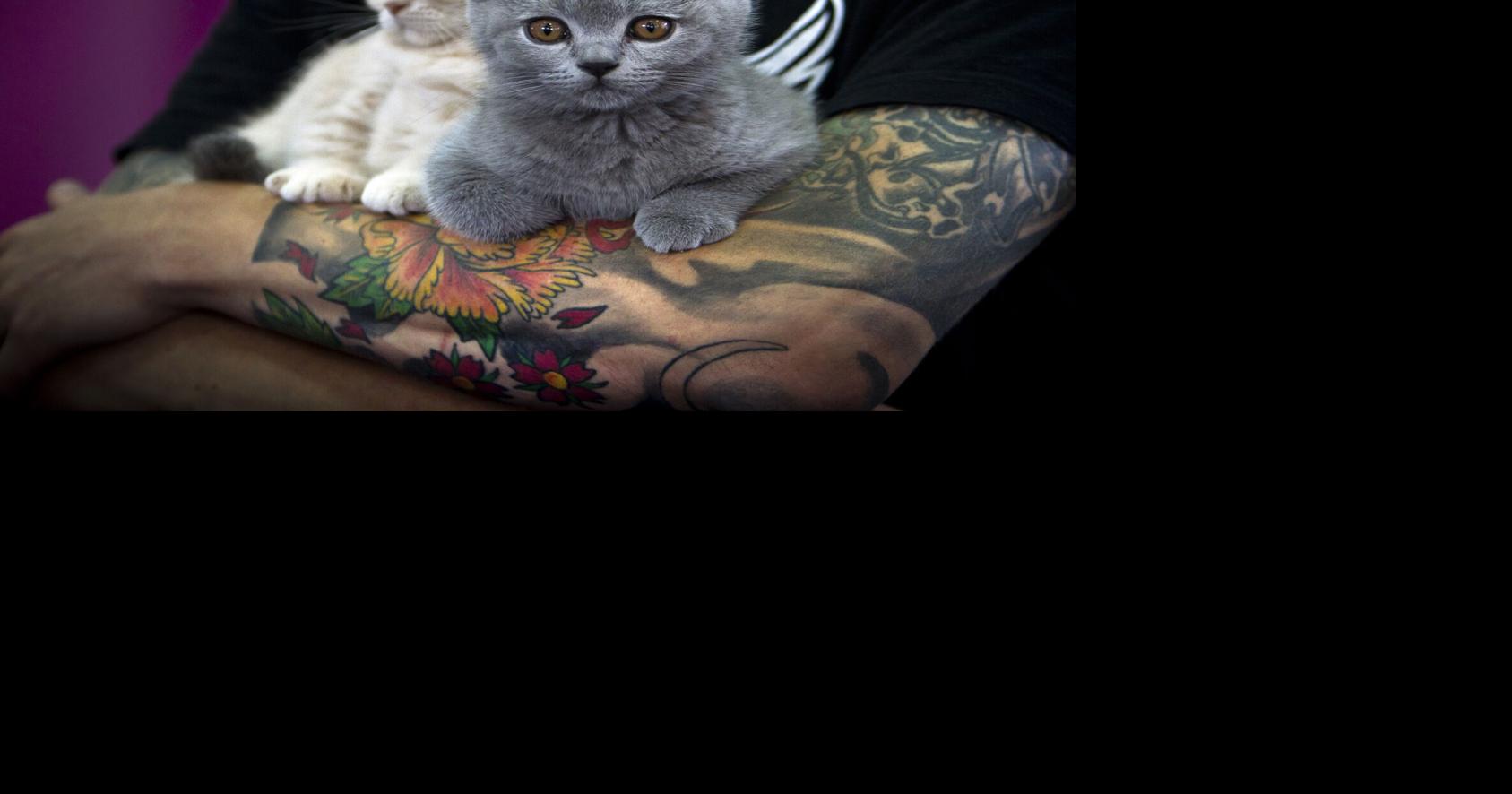 21 photos of cats to celebrate National Cat Day 2021
