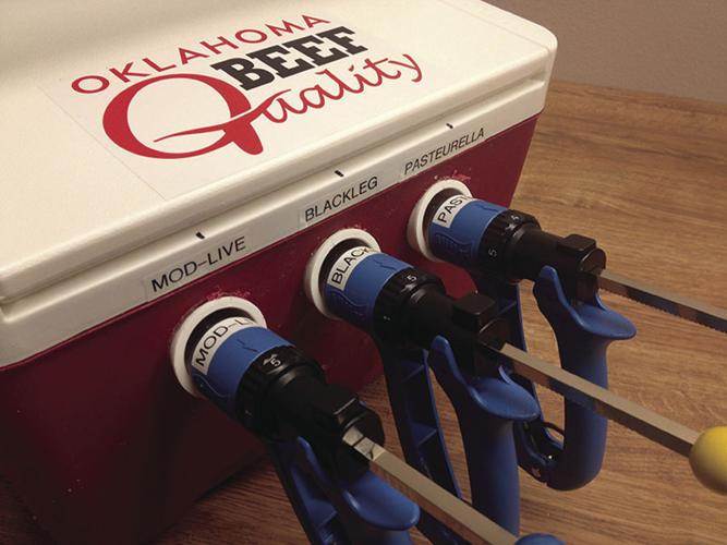 How to make an inexpensive chute-side vaccine cooler