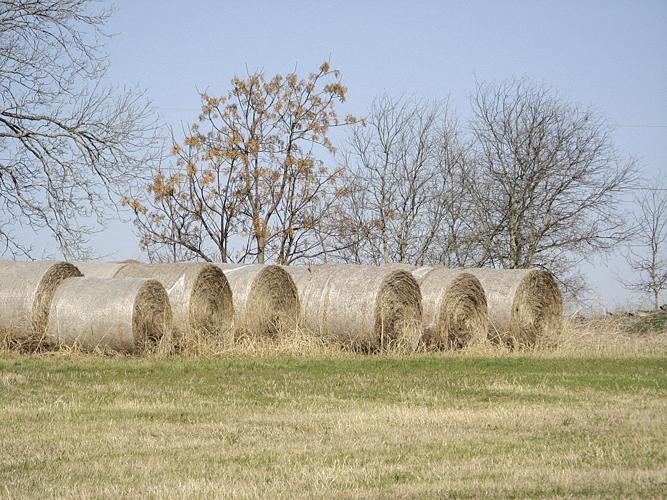 Be careful out there: Safely harvest and handle round bales
