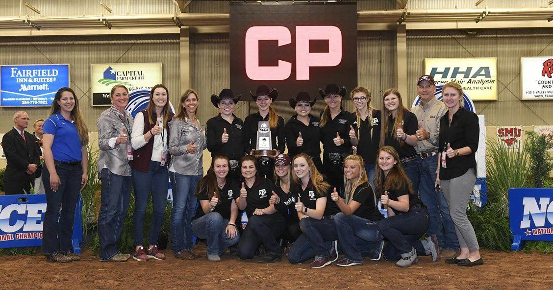 Texas A&M equestrian team wins NCEA Reining National Championship