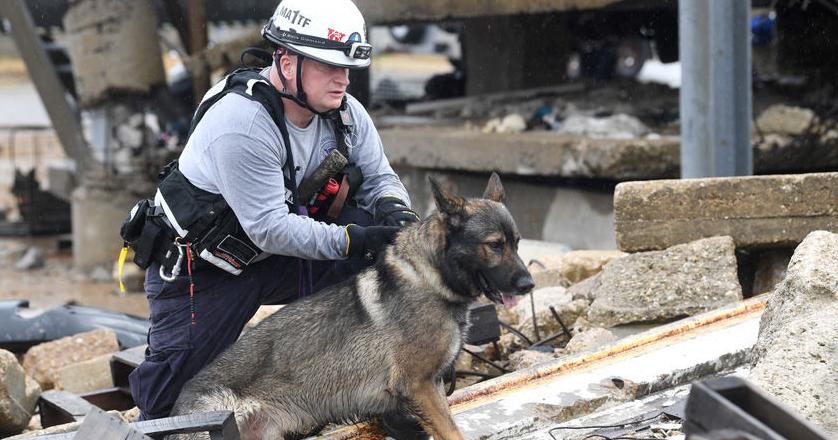 FEMA rescue training event brings dogs, handlers to Aggieland to ...