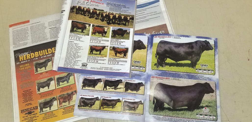The full tool box: How breed associations contribute to the cow-calf sector