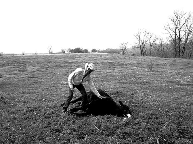 Watch for outbreaks of grass tetany this time of year