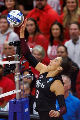 Lednicky will keep playing volleyball