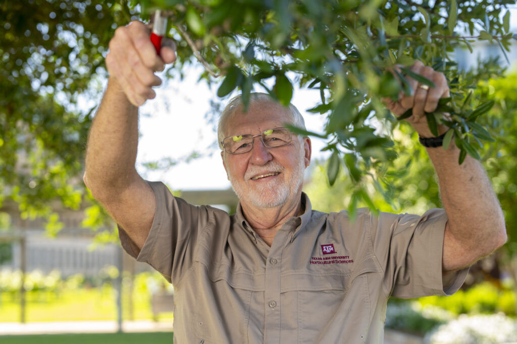 Sprouting passion for A&M students: HORT 201 with David Reed