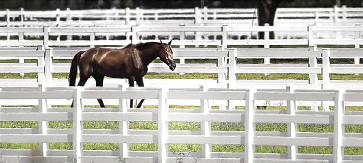 Construction set at Hildebrand Equine Complex