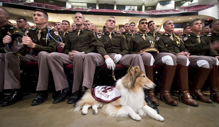 Aggie family says goodbye to Reveille VII at memorial service