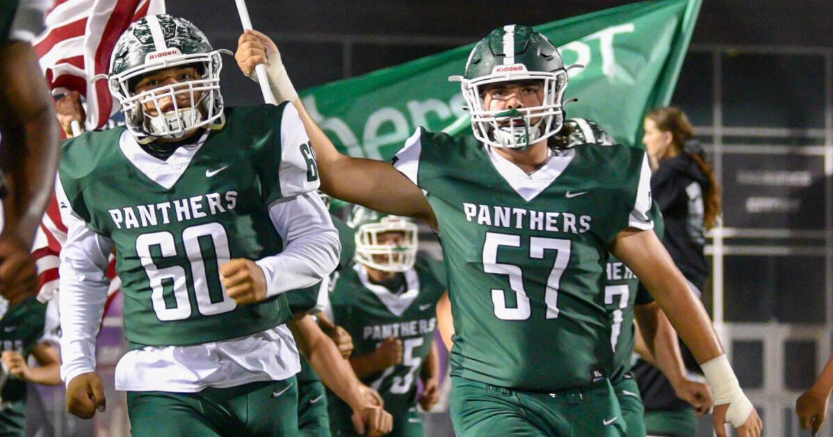 BV Football Statistics - Nov. 19