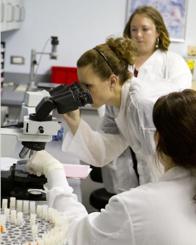 Texas A&M veterinary program offering hands-on training, animal ...