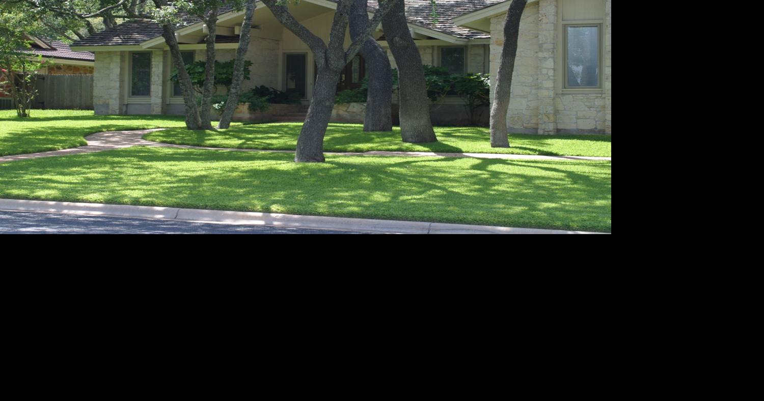 Skip Richter column: For beautiful lawns, focus on the ‘Big 3’