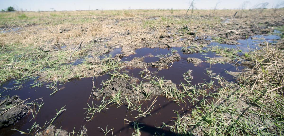 Feather Crest Farms Wastewater Leak