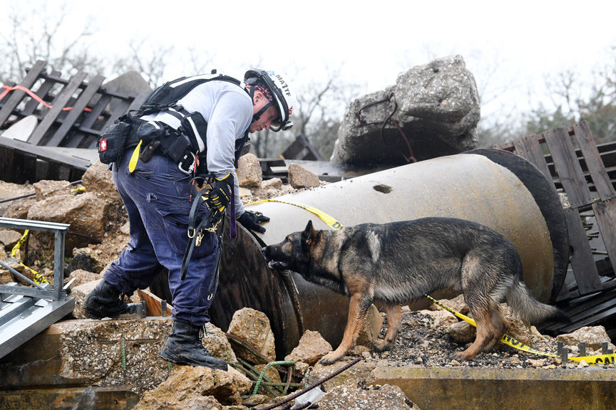 FEMA rescue training event brings dogs, handlers to Aggieland to ...