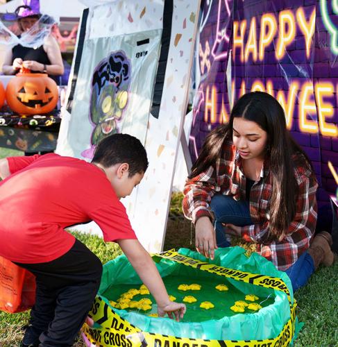ACC to Host 50th Annual Fall Festival | News | thefacts.com
