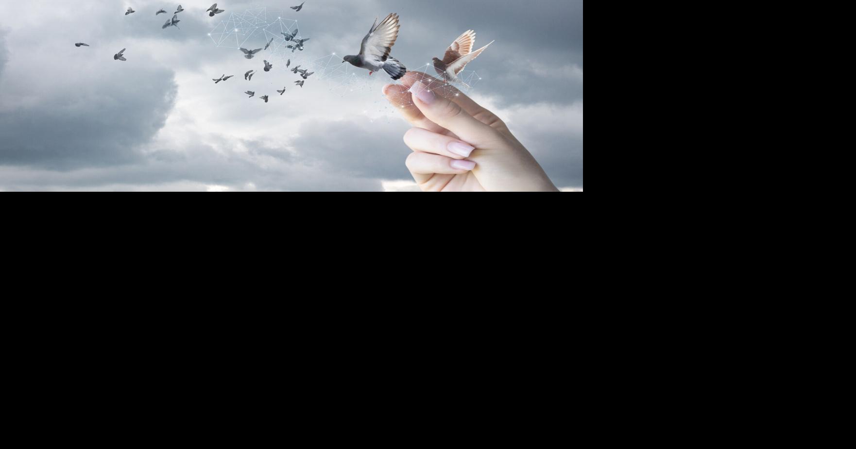 DIANNE DANNHAUS: Letting go of past seasons liberating, necessary ...