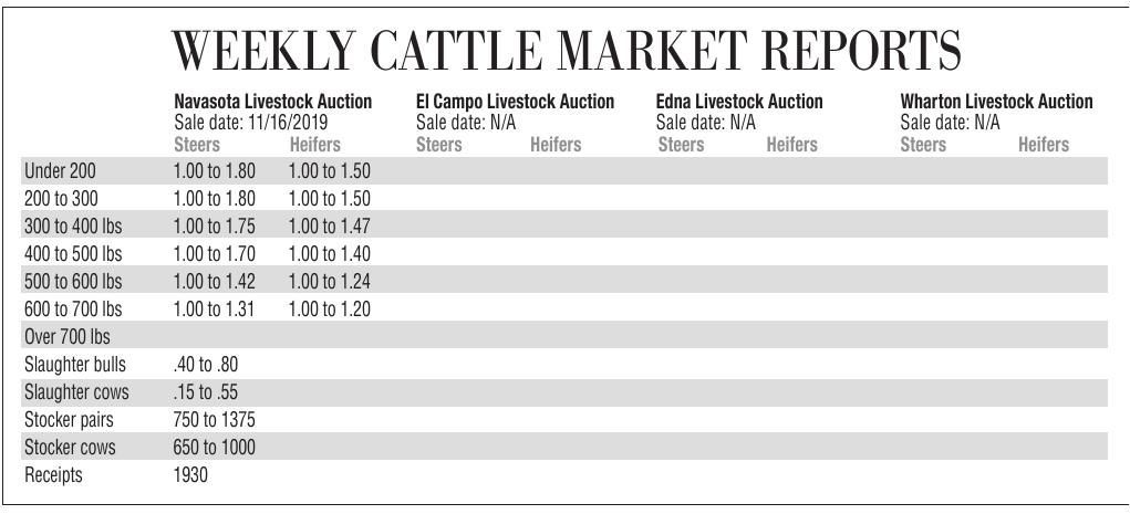Cattle Teeth Chart