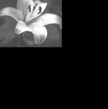 Jerri Ruth (Allen) Mathis | Obituaries | thefacts.com