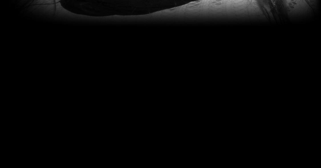 Lauren Brooke Roddy Denbow–Hawes | Obituaries | thefacts.com