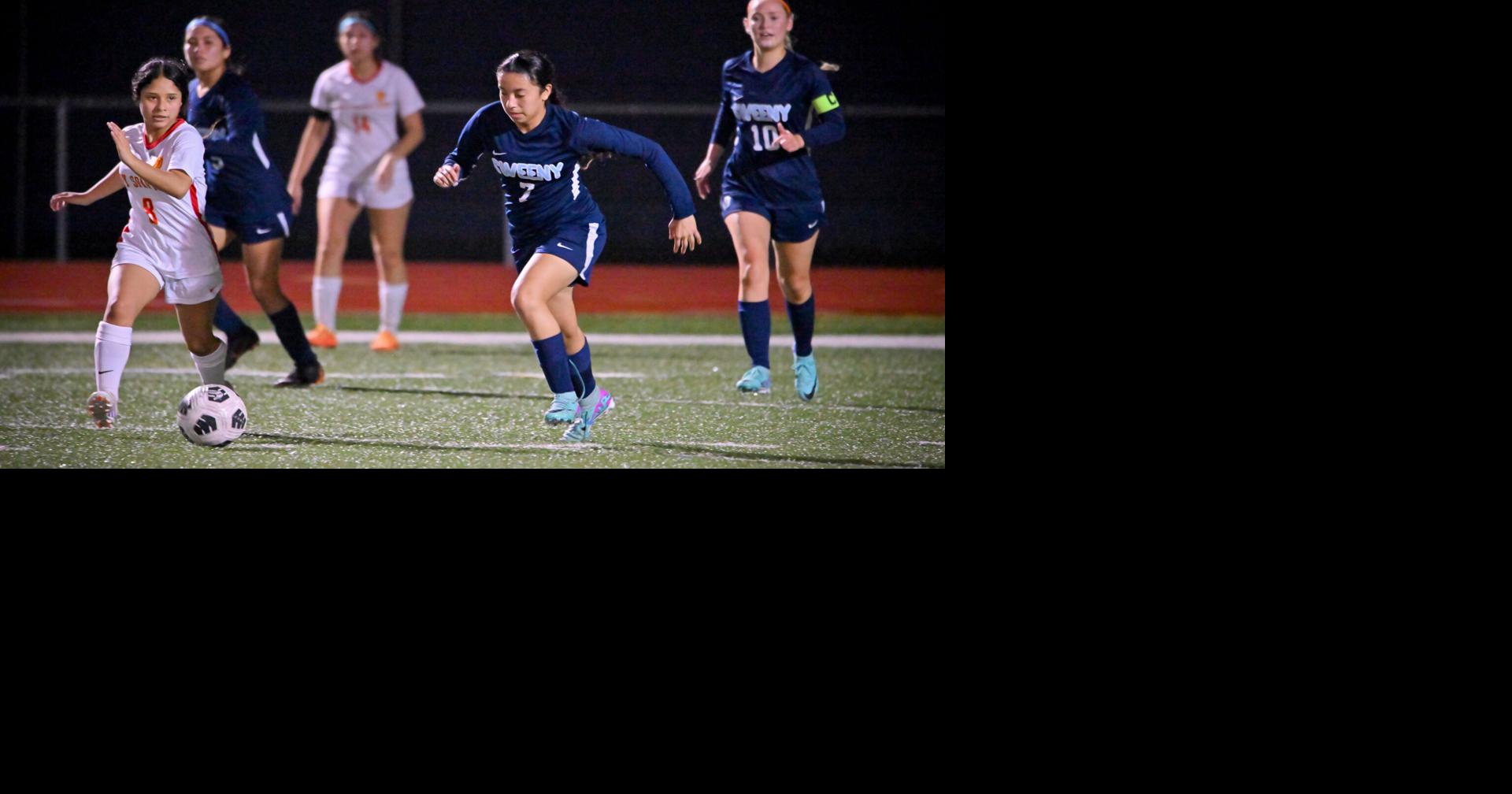 Lady Dogs reloading, not rebuilding; Sweeny boys lose heartbreaker ...